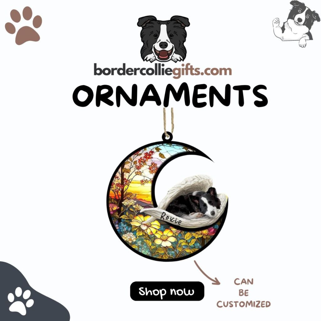 Border Collie Gifts | Best Gifts For Border Collie Lovers